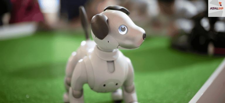 20 Easy Robotics Projects for Beginners