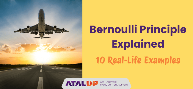 Bernoulli Principle Explained with 10 Real-Life Examples