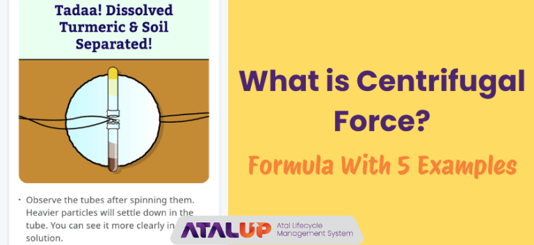 What is Centrifugal Force? Formula With 5 Examples