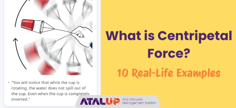 What is Centripetal Force? 10 Centripetal Force Examples
