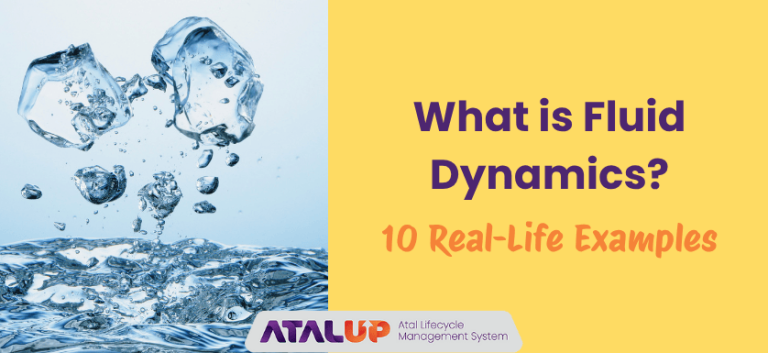 What is Fluid Dynamics? 10 Real-Life Fluid Dynamics Examples