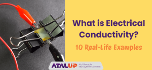 What is Electrical Conductivity? 10 Real-Life Examples